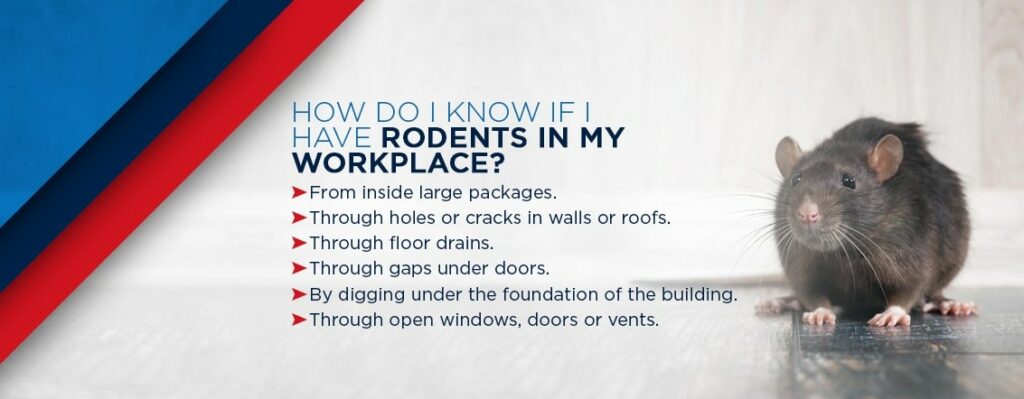 Importance of Rodent Resistant Braided Sleeving - AerosUSA