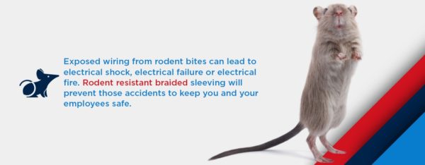 Importance of Rodent Resistant Braided Sleeving - AerosUSA